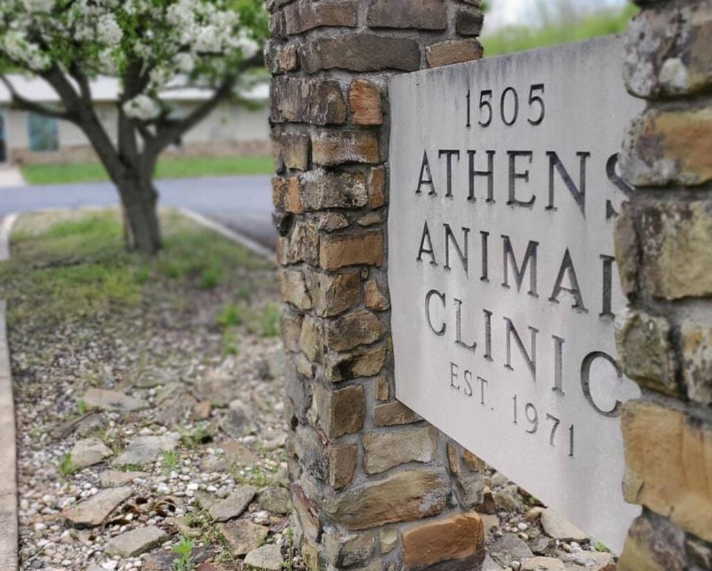 Vet Near Me Columbus, IN 47201 | Athens Animal Clinic